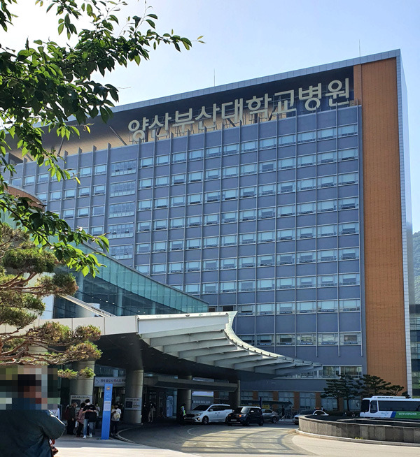 간 섬유화 검사 비용과 후기 파이브로 스캔fibroscan