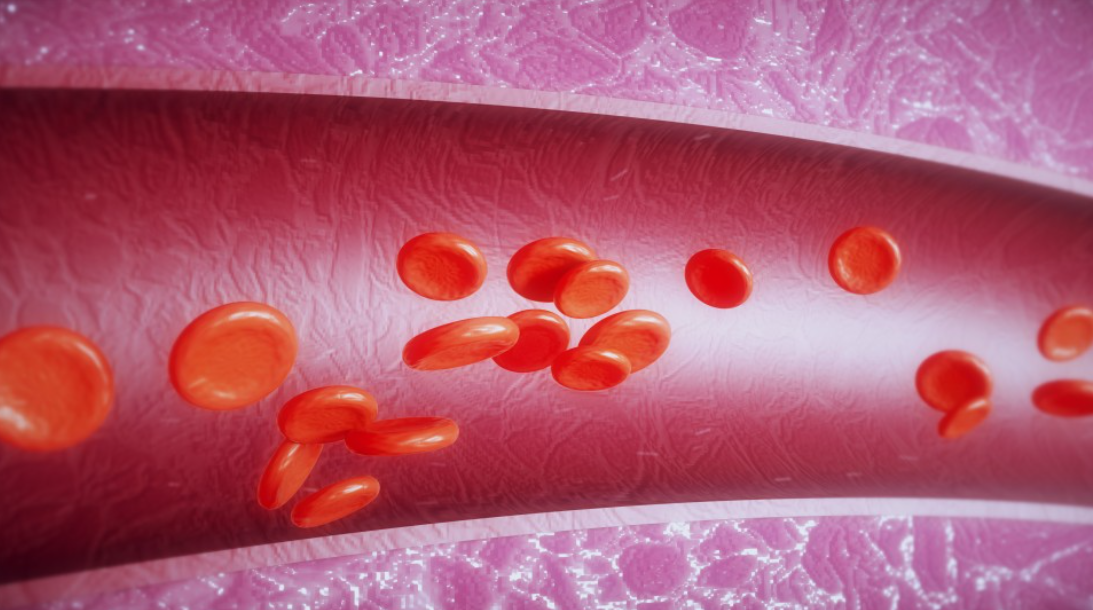 항혈소판제 명인 디스그렌캡슐(Myungin Disgren Cap.)효능, 효과, 부작용, 복용방법 완벽정리