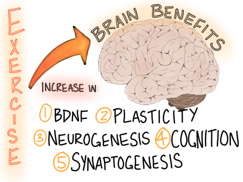 BDNF(Brain-derived neurotrophic factor)