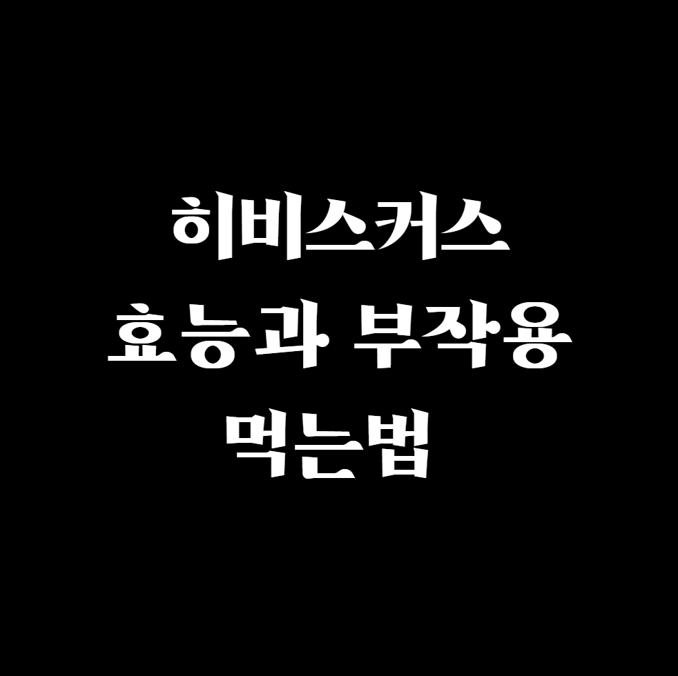 히비스커스 효능과 부작용 먹는법