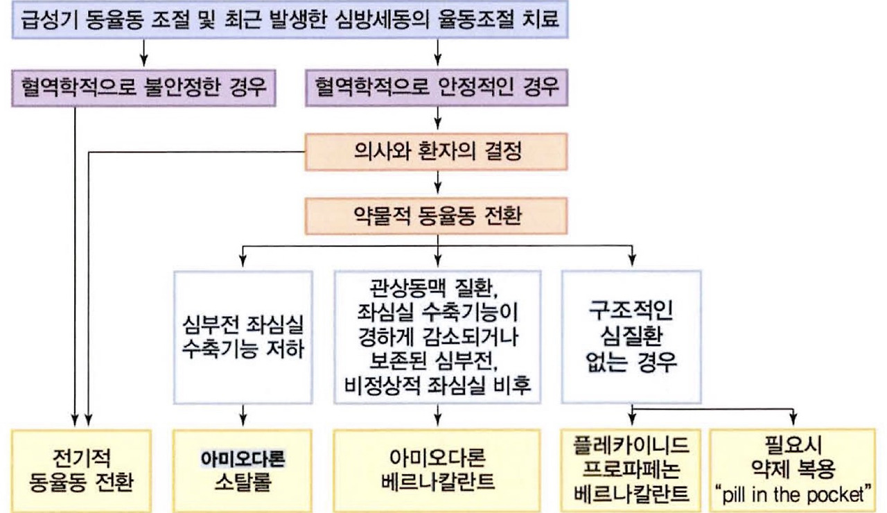 심방조기박동 심실조기박동 심방조동 심방세동 증상 심전도 및 치료