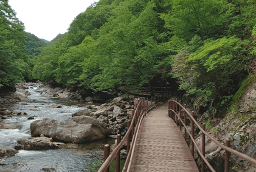 지리산 등산코스 뱀사골계곡