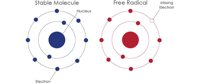 Plasma (2) Formation and Mechanism :: 나의서랍장