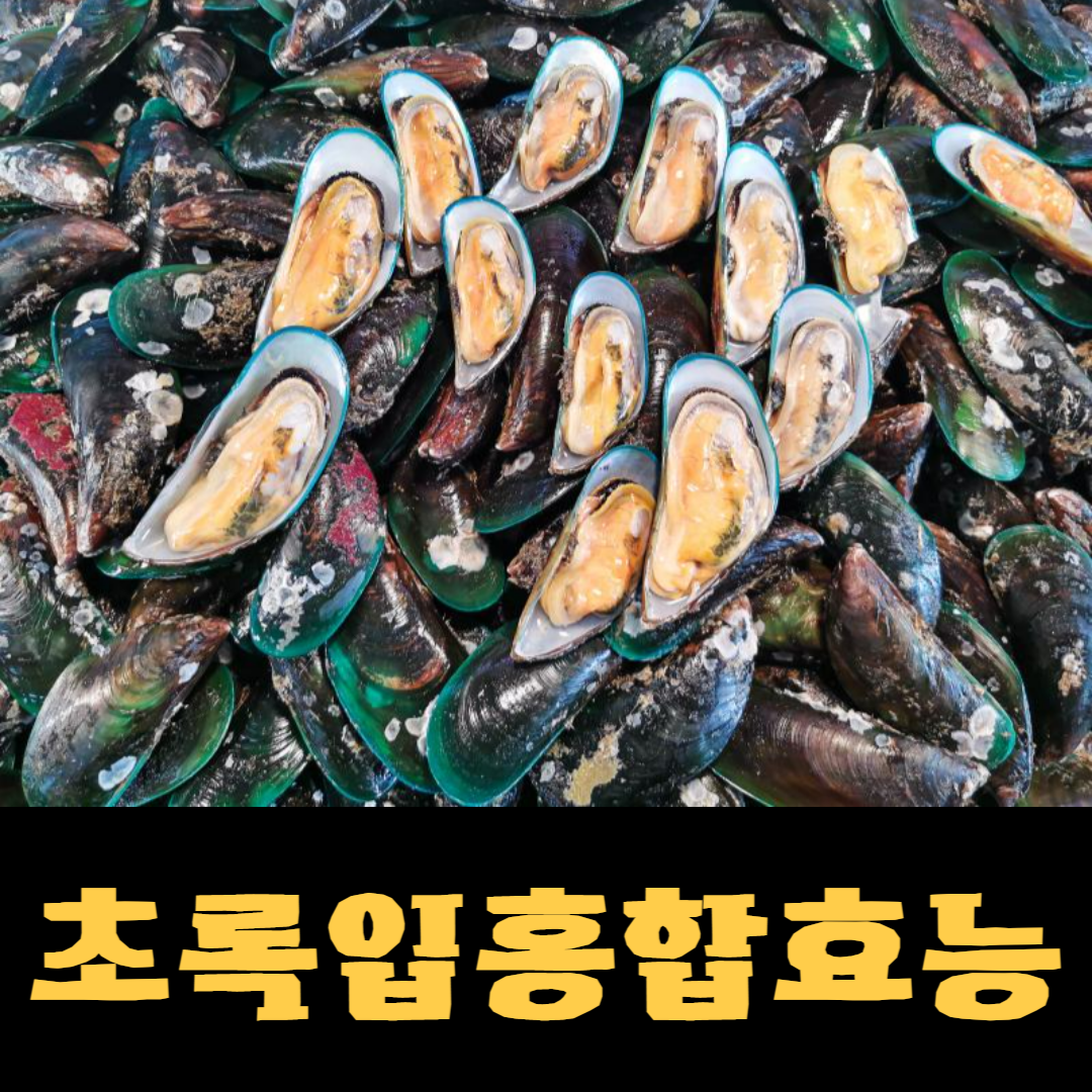 초록입홍합 효능 영양성분 부작용