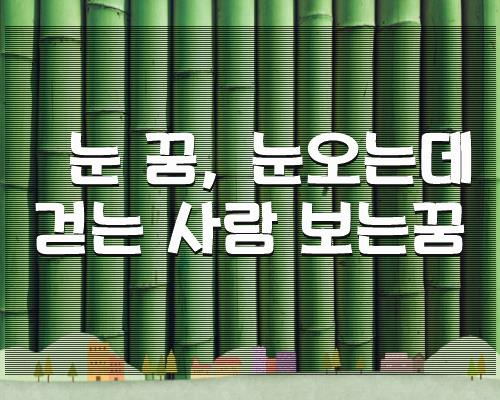 눈 꿈 눈오는데 걷는 사람 보는꿈