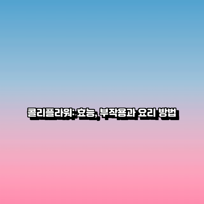 콜리플라워 효능 부작용과 요리 방법