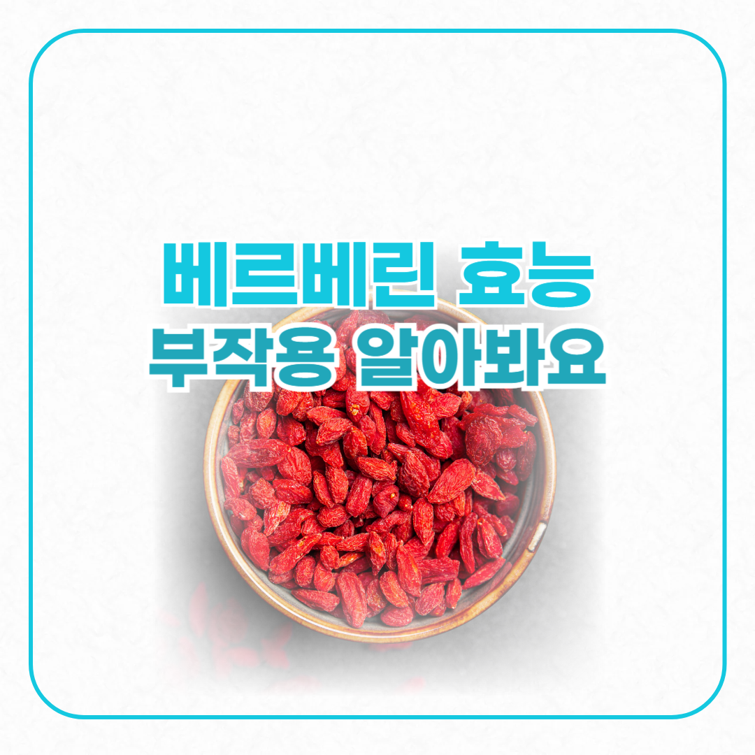 베르베린 효능 6가지 복용법 추천 부작용 총정리