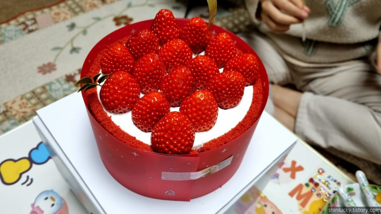 파리바게뜨 이달의 제품 블레싱 레드베리 케이크