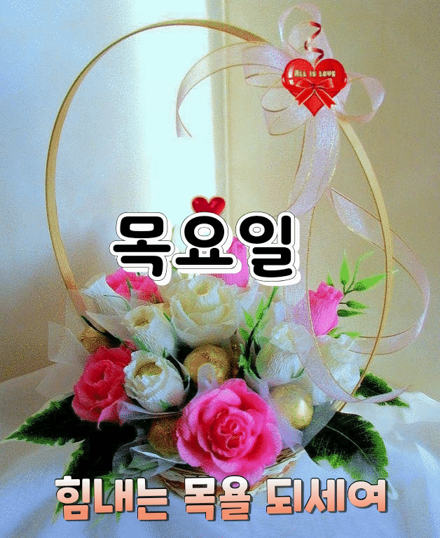 목요일 인사말 메세지 이미지 9가지 목요일 아침인사 하루의 시작을 인사 문구와 함께 선물하세요 생활 정보 관심이