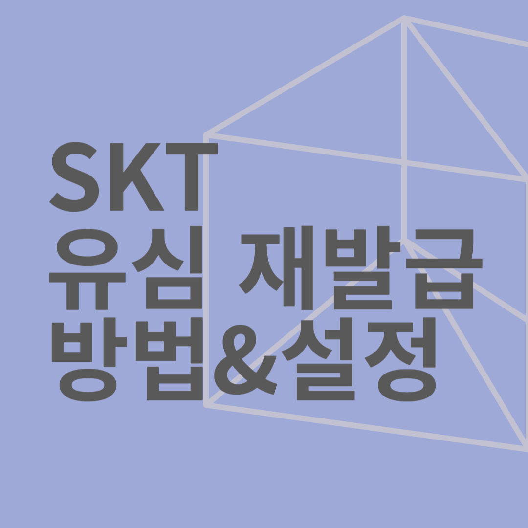 SKT 유심 재발급 방법 | SK텔레콤 USIM 재발급 후 설정 방법 정리