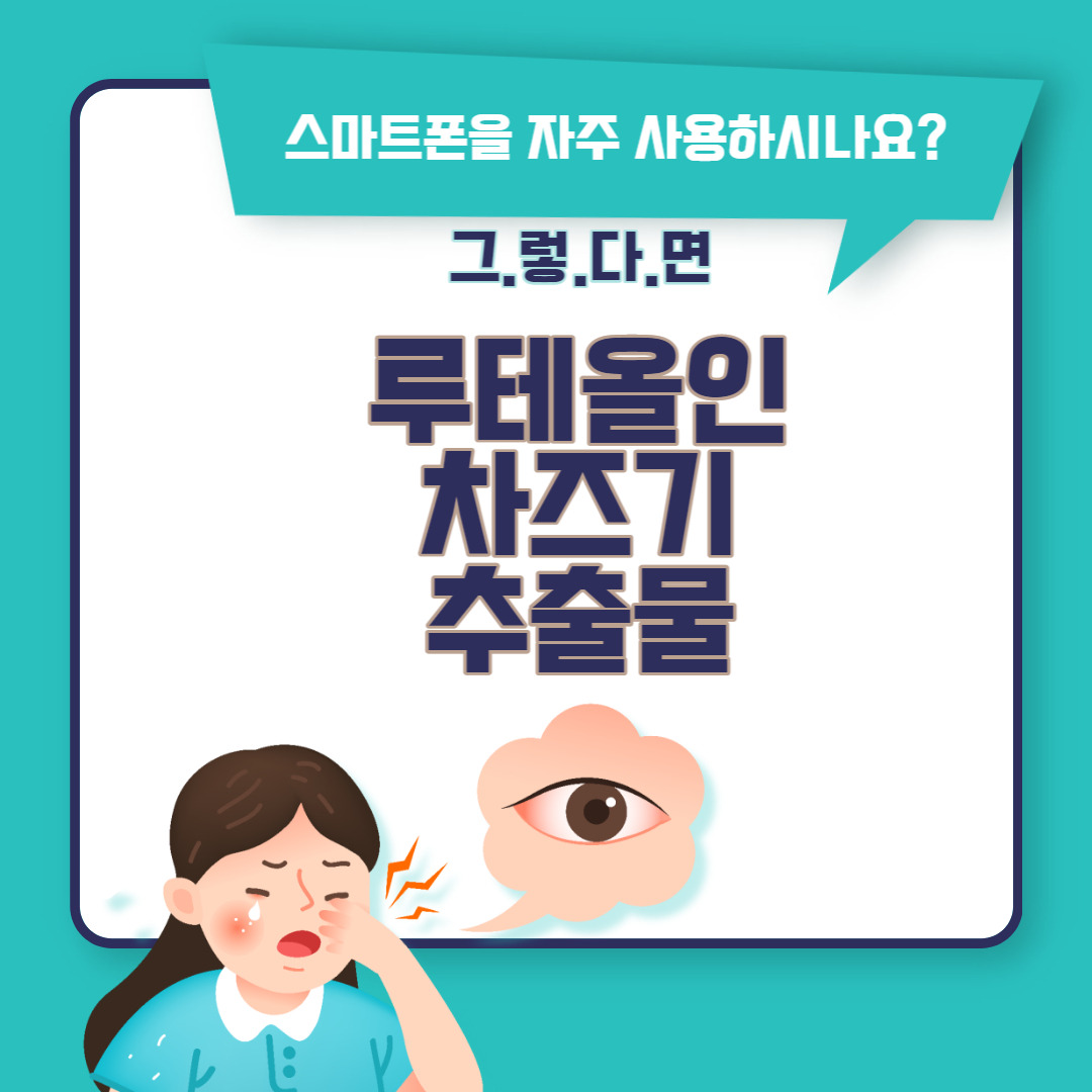 눈 건강 눈의 피로에 좋은 루테올린 차즈기 추출물 효능 부작용 알아보기