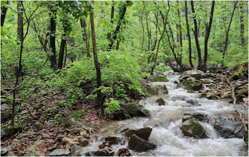 경기도 자연휴양림 추천 5선