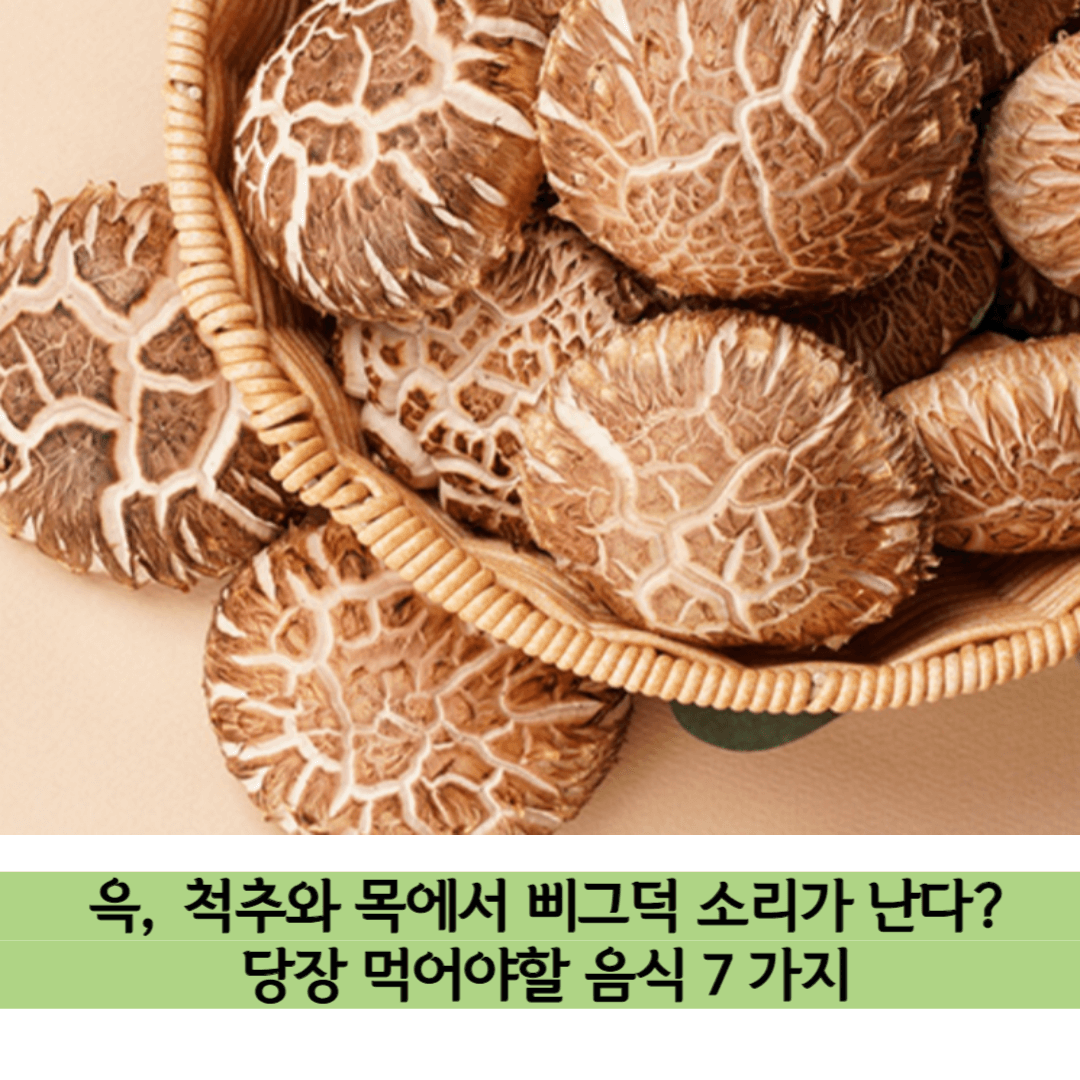 척추 건강을 지켜주는 꼭 먹어야할 음식 7가지