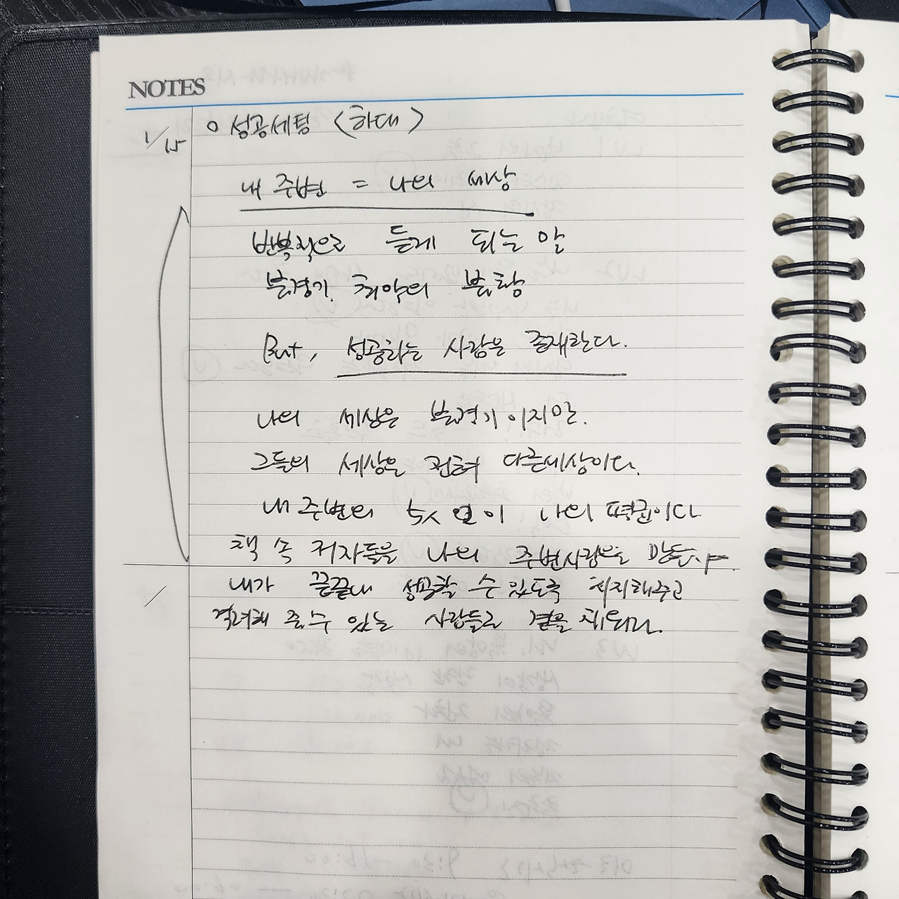 하와이 대저택 찐팬이 되다 잠재의식 뇌과학 시크릿 론다 번소원쓰기법화경 필사