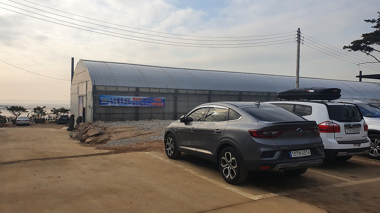 궁평항→국화도→입파도 배시간표 And 나들이추천