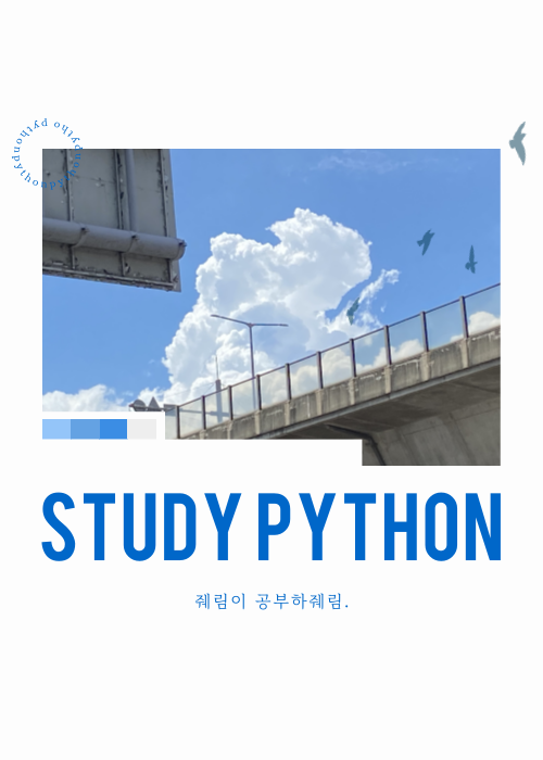 Swea 파이썬 프로그래밍 기초1 파이썬의 기본 구조와 기초 문법 8 함수 기초