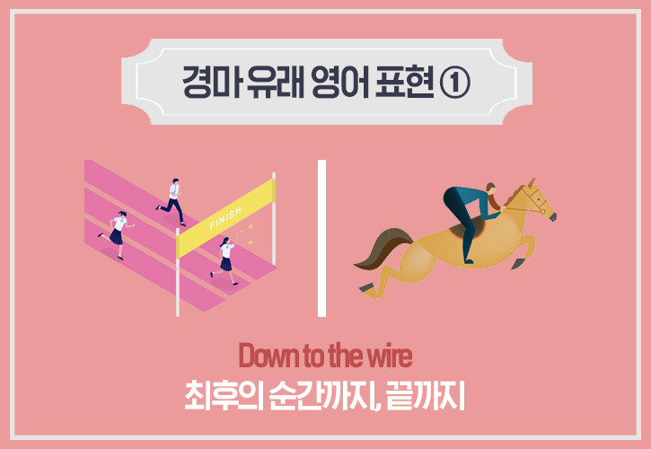 한국토익위원회 토익스토리 다크호스의 숨겨진 뜻 경마 관련 유래 영어 표현