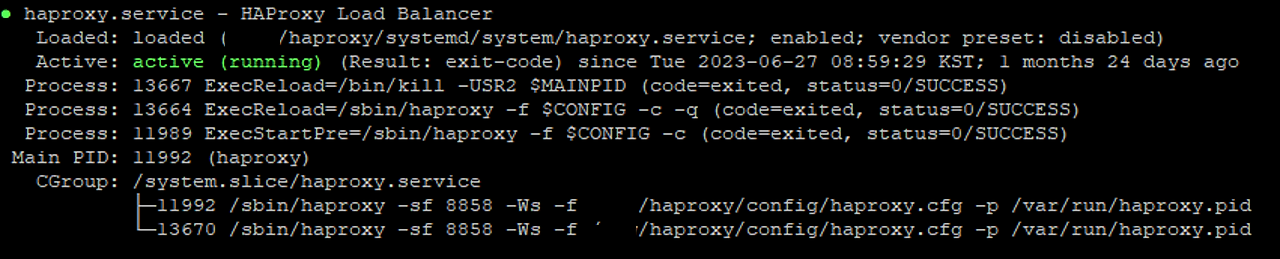 HAProxy nbproc 설정 적용
