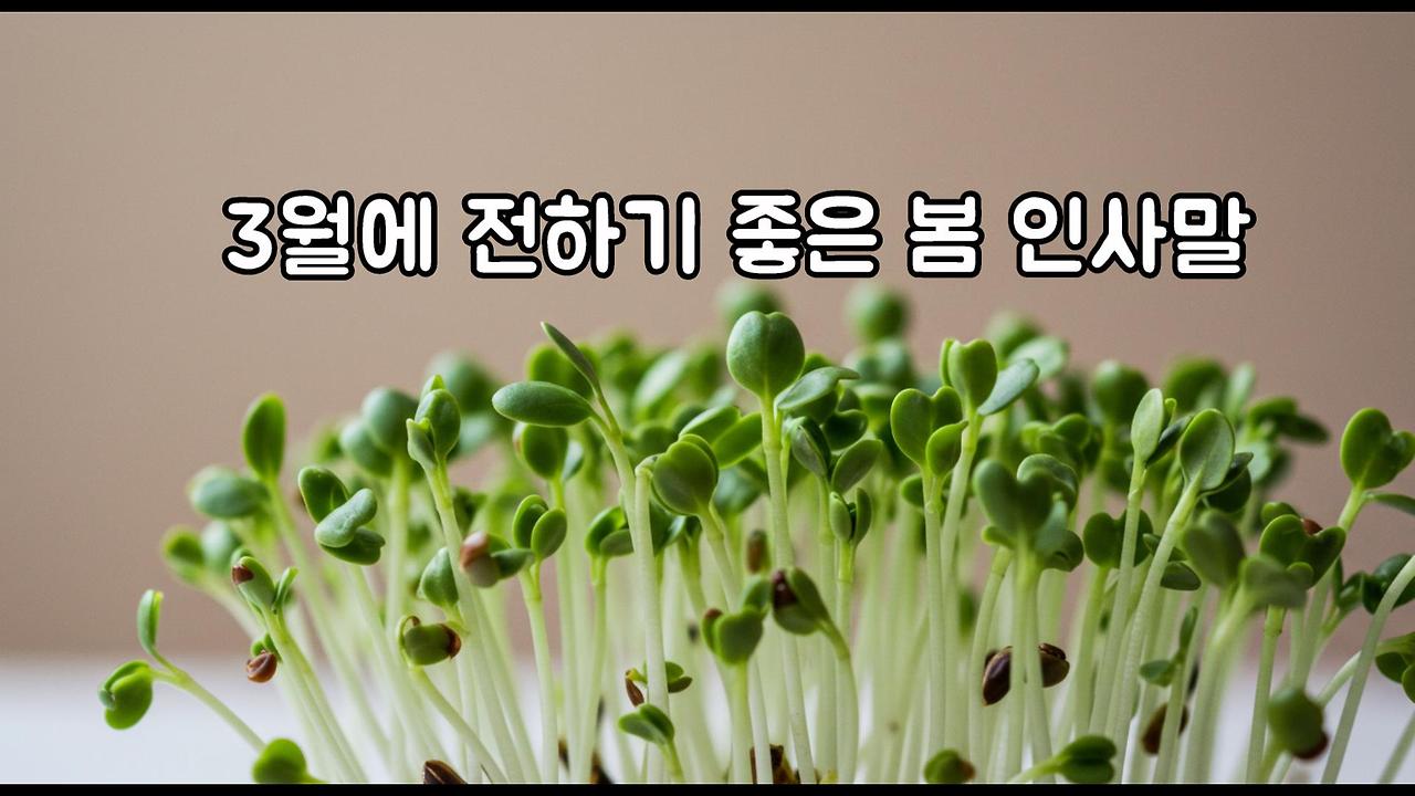 3월 따뜻한 봄 인사말 모음 희망 가득한 3월 카톡·밴드·문자 인사말 추천 봄맞이 인사말 30개 모음 3월에 전하기 좋은