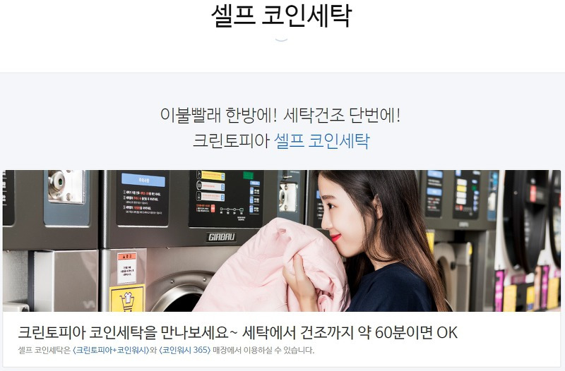 크린토피아 세탁 가격 가격표 물티슈