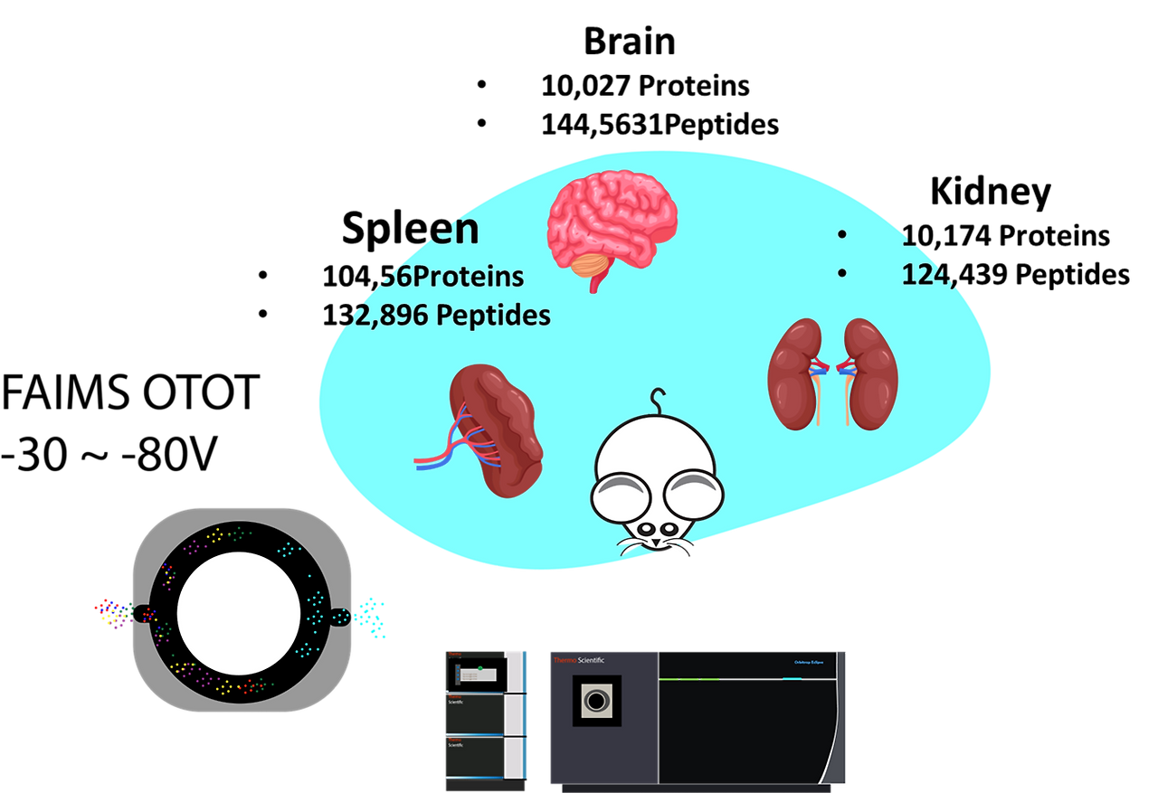 10K Proteins with FAIMS Gas-phase Fractionation