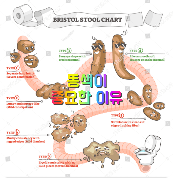 초록색 녹변 똥 설사 증상 및 질병 종류 회색 검은색 빨강 색상별 증상