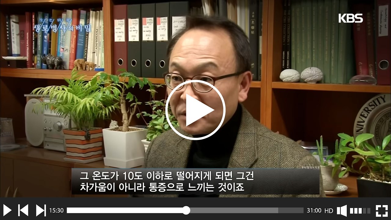 생로병사의 비밀 891회 재방송 다시보기 회차정보 편성정보 보러가기