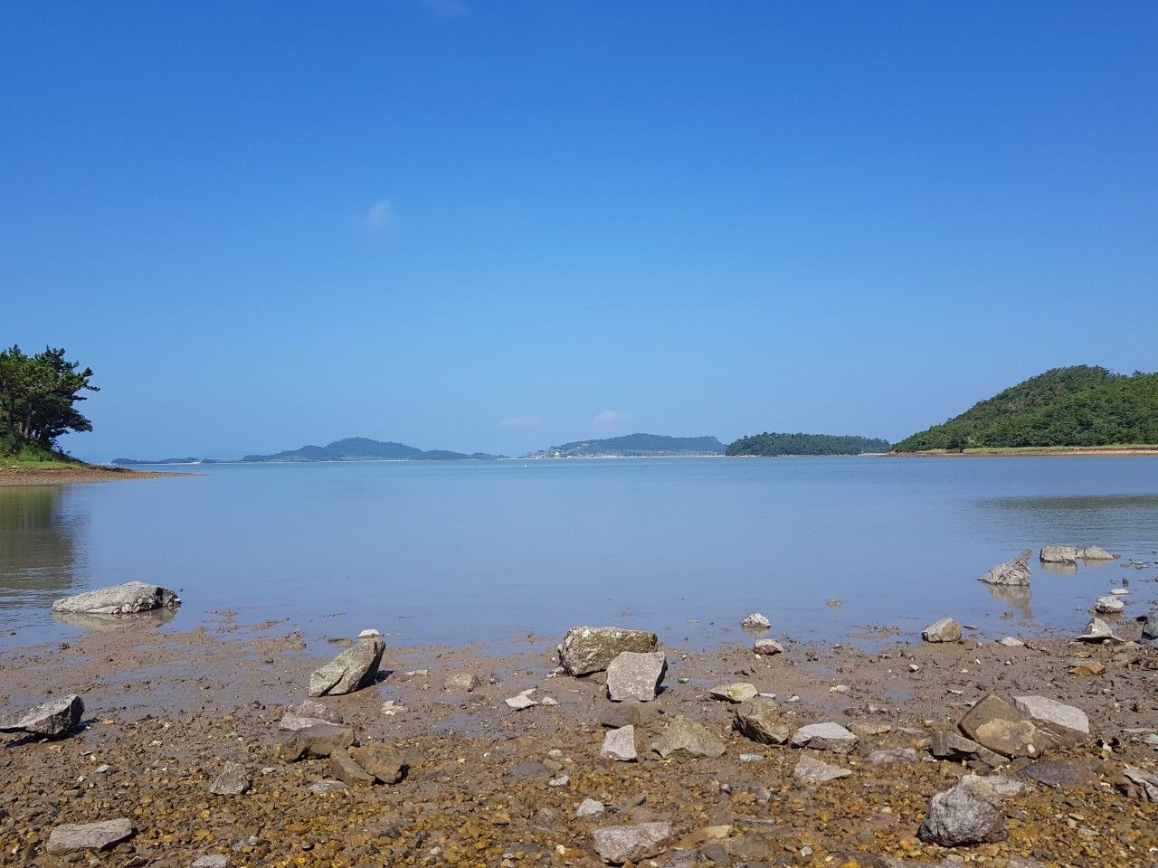 전남 신안군 퍼플섬 반월도와 박지도 퍼플교 입장료 및 무료입장 방법 주차정보