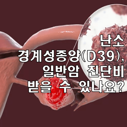 난소 경계성종양d39일반암 진단비 받을 수 있나요