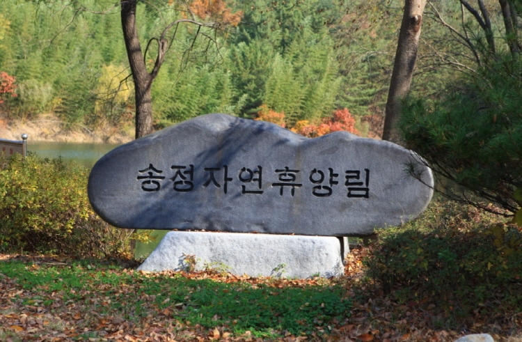 칠곡 송정자연휴양림 예약과 이용안내