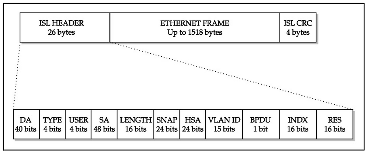 [네트워크] Trunking Protocol