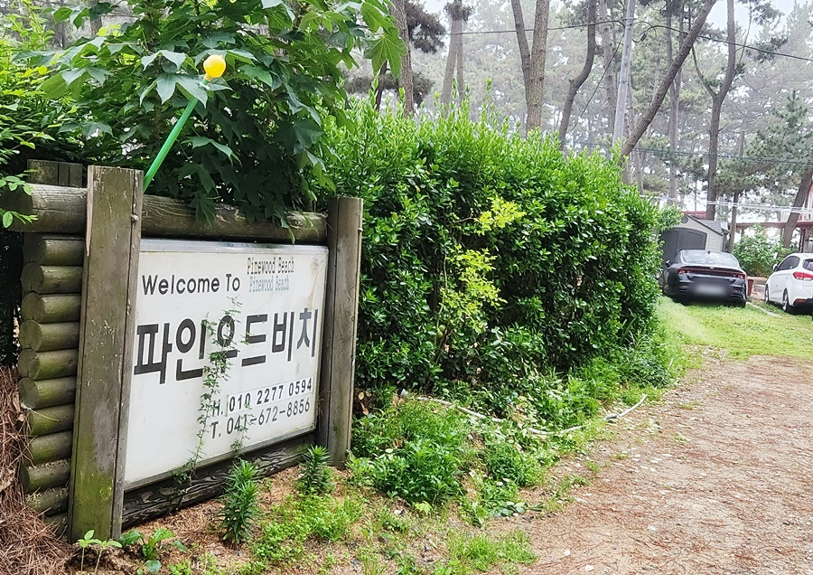 캠핑 국립공원 태안 몽산포 자동차 야영장 시설정보 및 명당