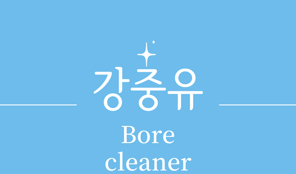 '강중유(Bore cleaner)'효능,효과,사용법,주의사항,문제점,꿀팁
