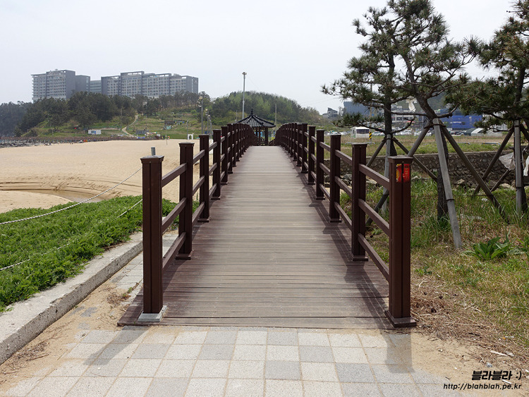 속초 가볼만한곳 외옹치항 바다향기로 둘레길 산책