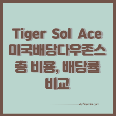 국내 SCHD - TIGER SOL ACE 미국배당다우존스 3종 비교(배당률, 총보수) - 밤비의 투자생활