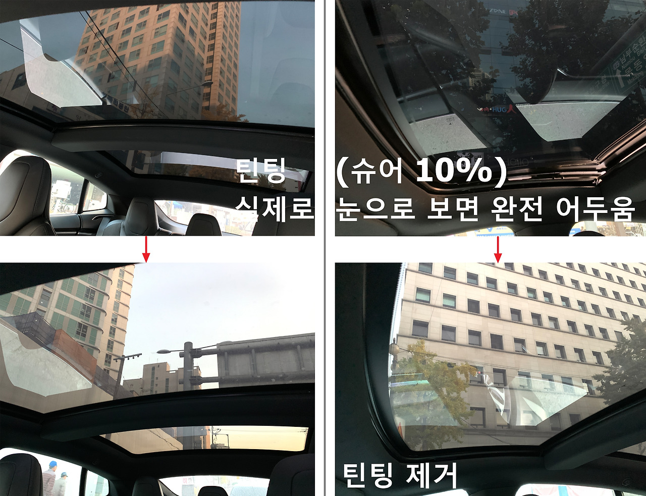 테슬라 글라스루프에 틴팅을 해야할까 모델s 썬루프글라스루프 썬팅 제거 후기