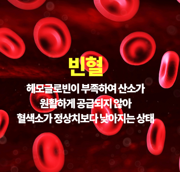 머위 효능 10가지 및 부작용