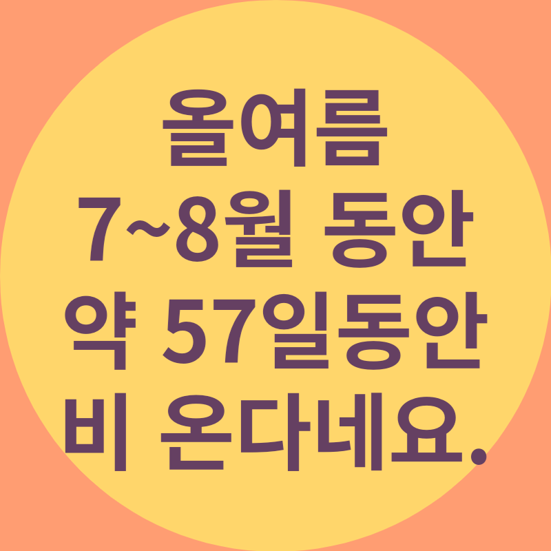올여름 7~8월 달 약 57일정도 비가온다 습한계절 습기 곰팡이 방지법 김두두의 짬뽕잡탕