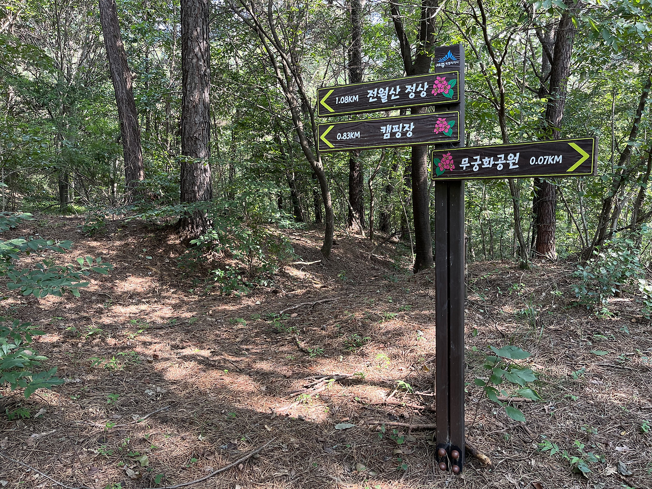 세종시 가볼만한 곳 전월산 등산 코스