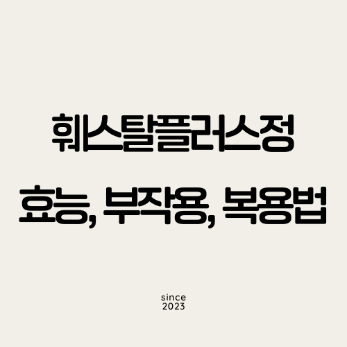 훼스탈플러스정 효능 및 복용법 소화불량 개선의 완벽 가이드