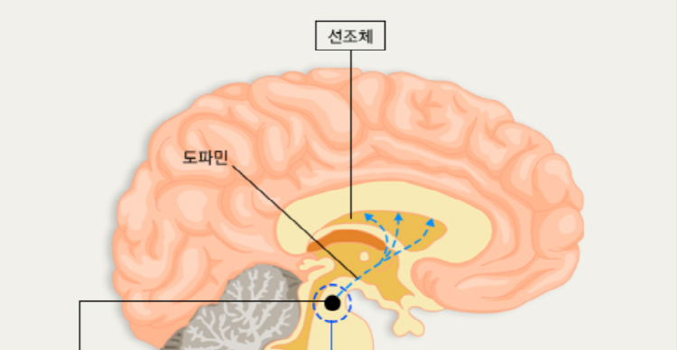 도파민 뜻과 재미로 해보는 도파민 중독 테스트