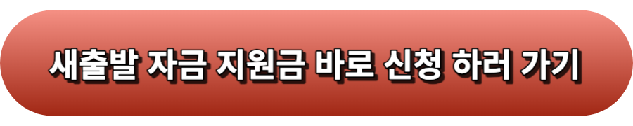 소상공인 새출발자금 부실차주 뜻과 신청방법 알아보기