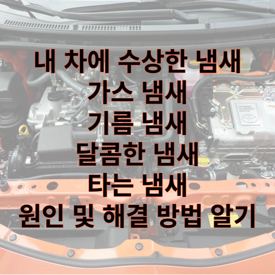 내 차에 수상한 냄새 가스 냄새 기름 냄새 달콤한 냄새 타는 냄새 원인 및 해결 방법 알기
