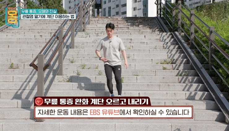 귀하신 몸 고인준 교수 무릎 통증 강철 무릎운동 이금호 운동전문가 계단 오르내리는 방법 소개