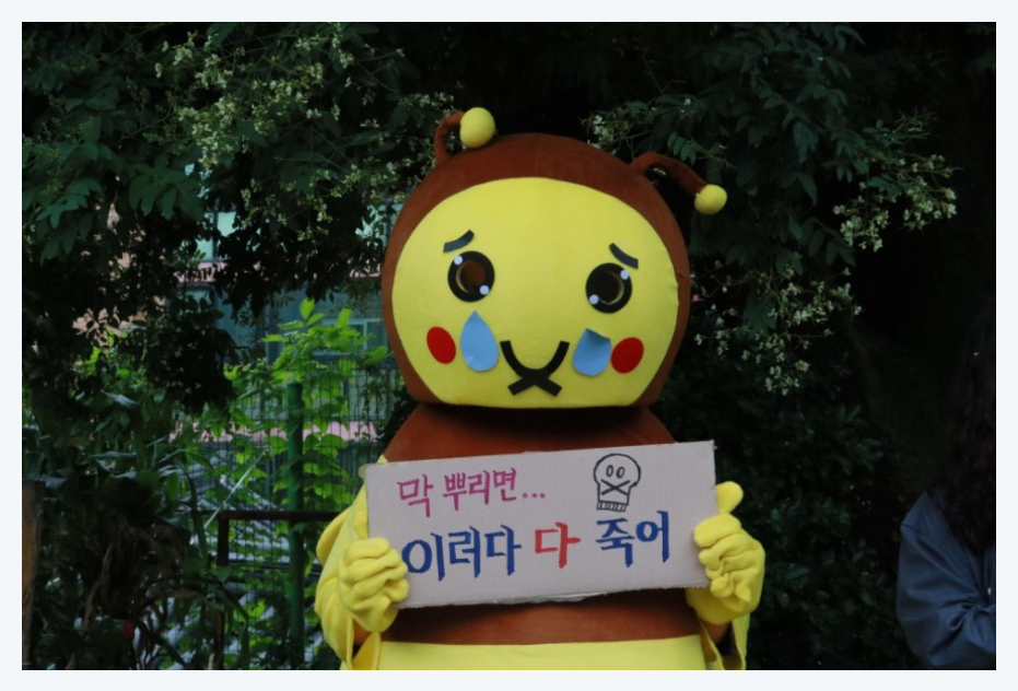 그 많던 꿀벌은 어디로 갔을까