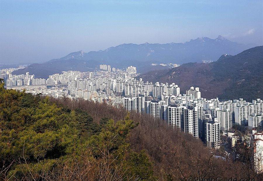 서대문 안산 둘레길 독립문 안산 홍제천 코스 안산자락길에서 새 봄을 기다리다
