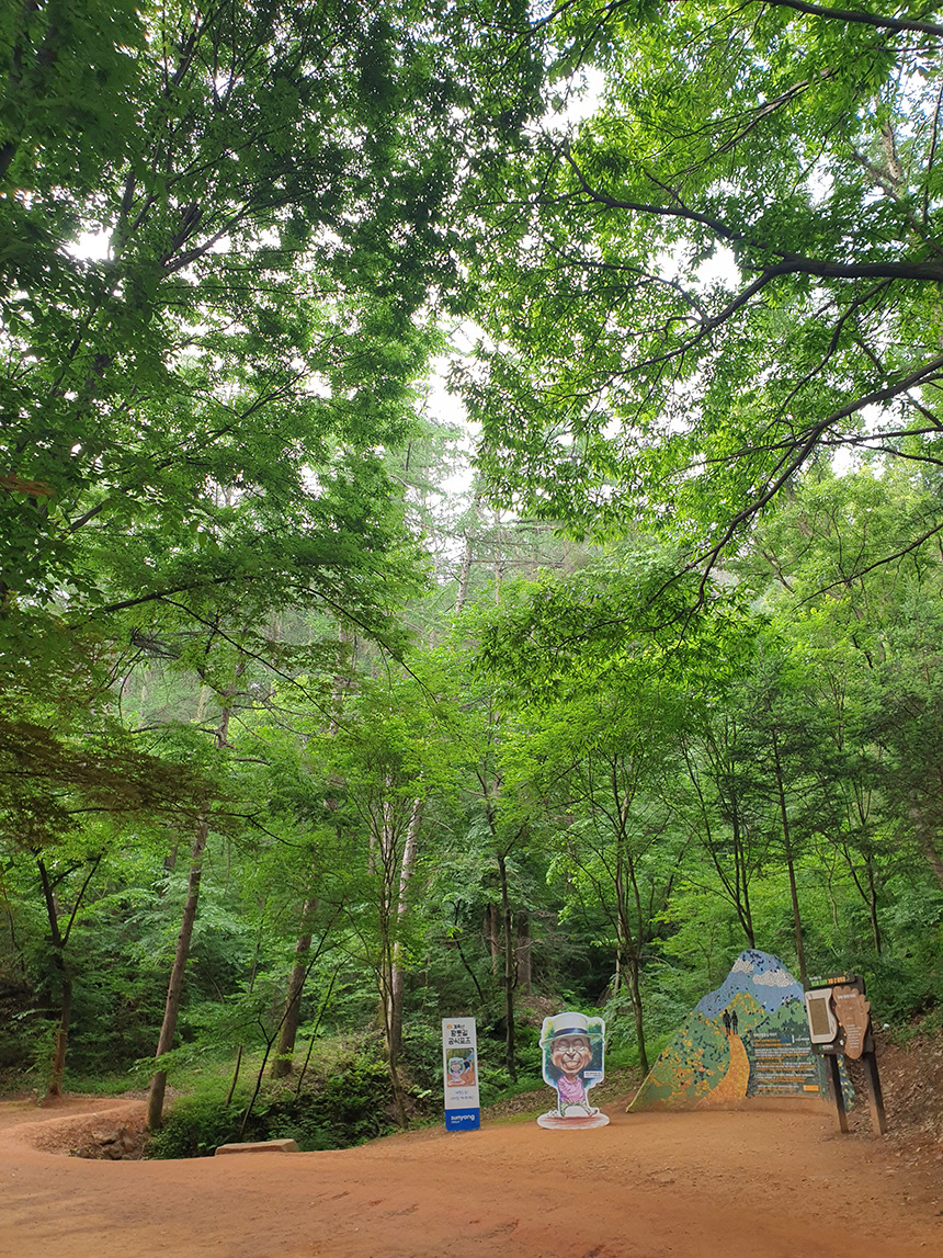 대전 계족산 황톳길 코스 장동산림욕장 황토길 맨발걷기 트레킹 소요시간