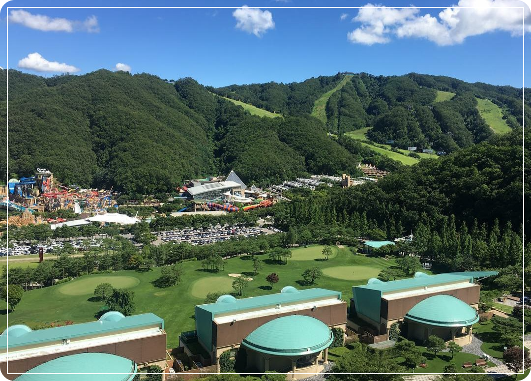대명노블리안회원권 대명쏠비치 대명리조트회원권 회원권114