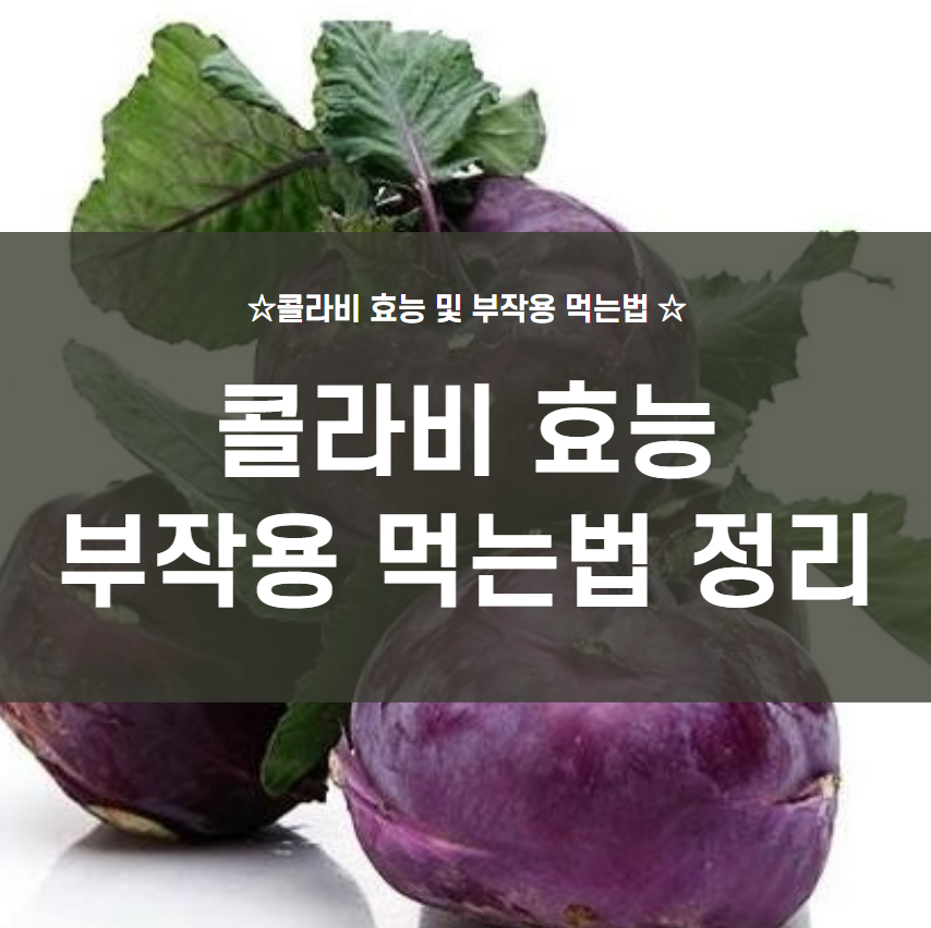 콜라비 효능 및 부작용 먹는법