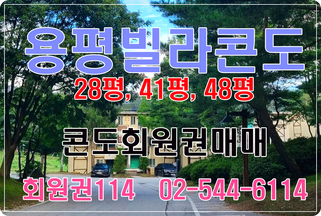 용평리조트 용평빌라콘도회원권 용평빌라28평 용평빌라회원권 회원권114